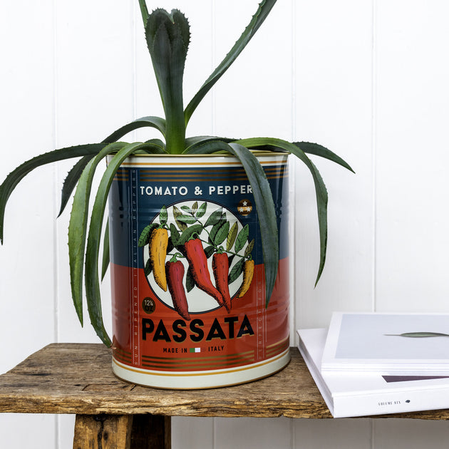 Retro Style Storage Tins XL - Various Designs – Rose & Lyons
